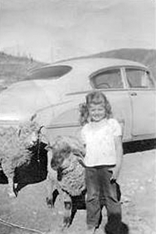 Connie Theos named Colorado Wool Grower of the Year | The Herald Times ...