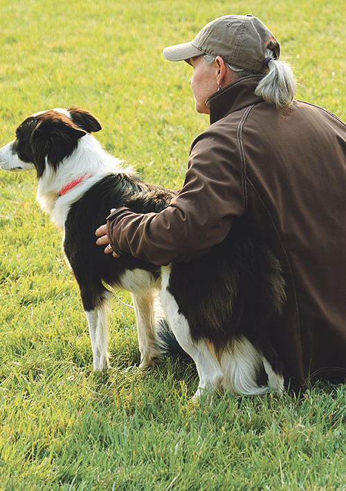 {PHOTOS} 2017 Meeker Classic Sheepdog Championship Trials | The Herald ...