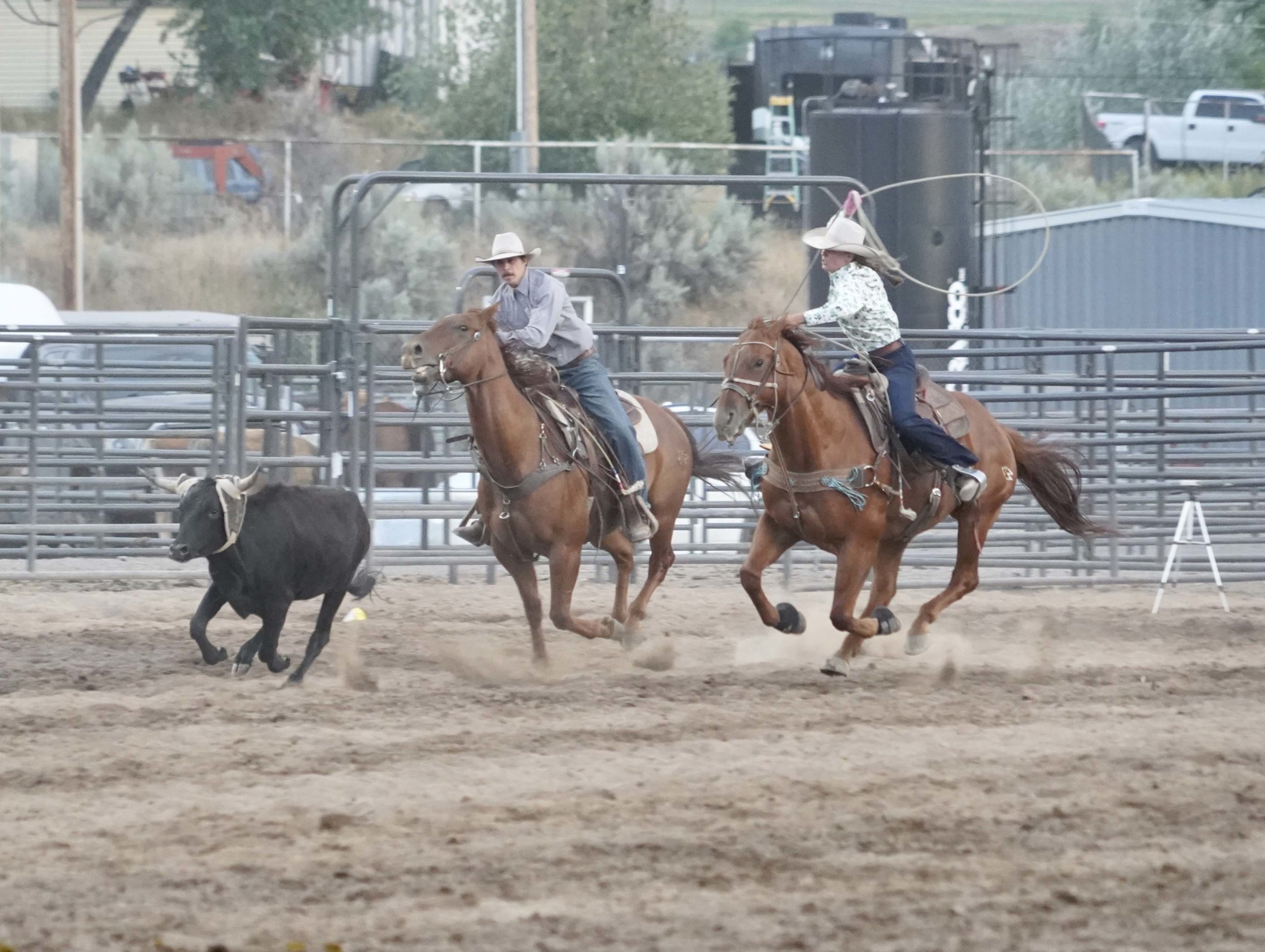 2020 Summer Rodeo Results | The Herald Times | Serving Meeker, Rangely ...
