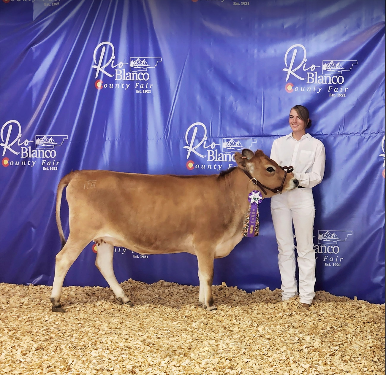 AmyJoRosendahl_dairygrandchamp_KimE | The Herald Times