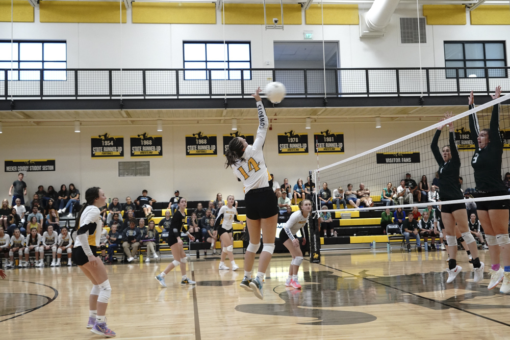 Cowboy volleyball starts strong with four-game sweep | The Herald Times ...