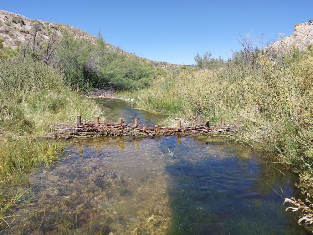 Miracle in the desert? Hands-on workshop will help landowners ...