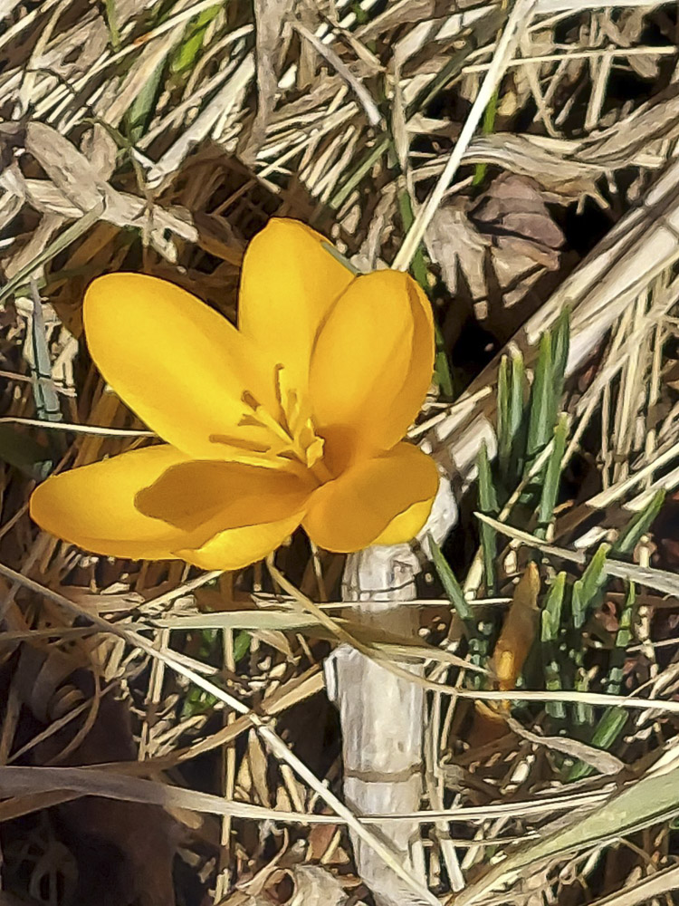 Spring… | The Herald Times | Serving Meeker, Rangely, Dinosaur ...