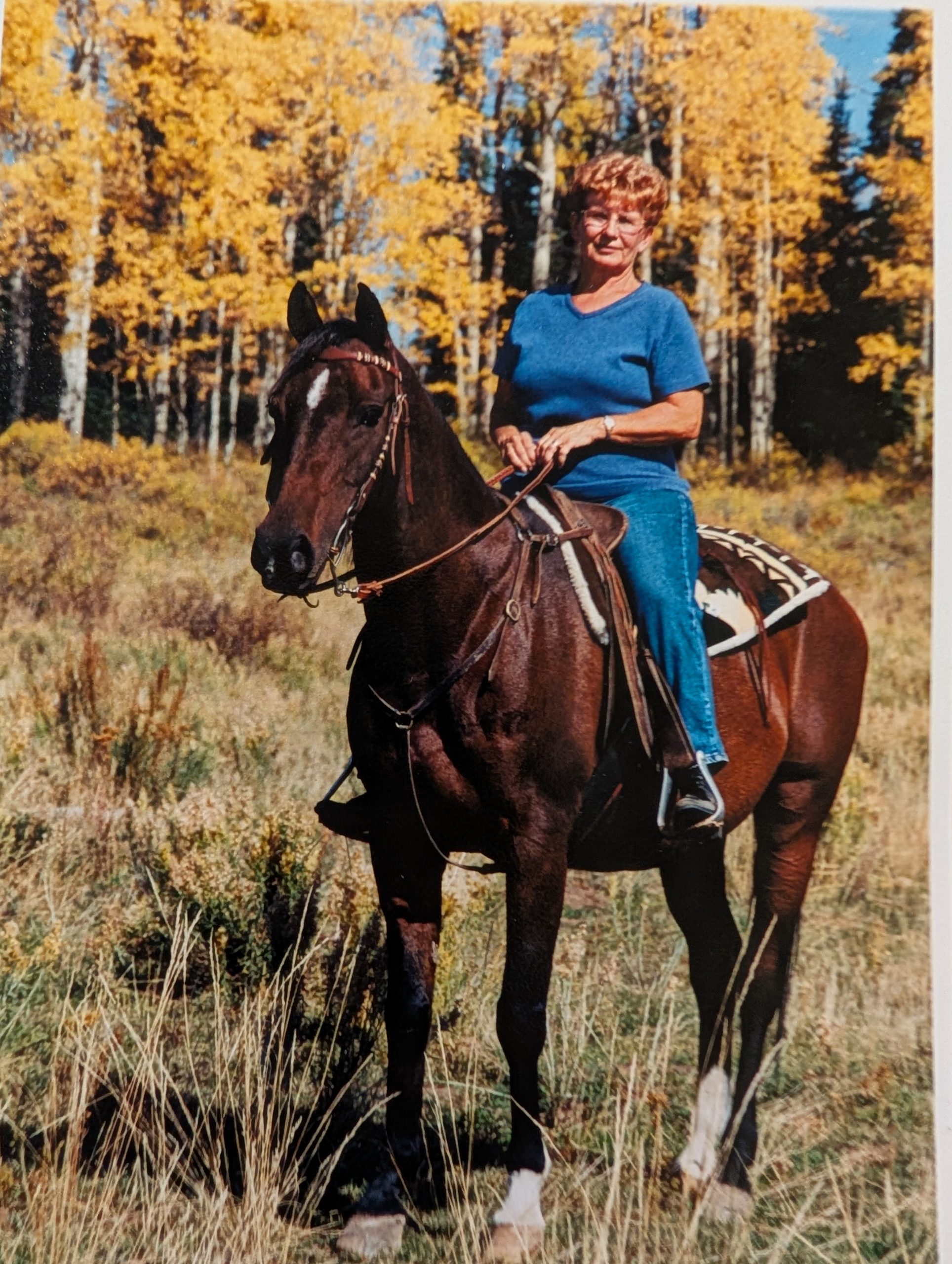 OBITUARY – Nancy Lee Sullivan | The Herald Times | Serving Meeker ...