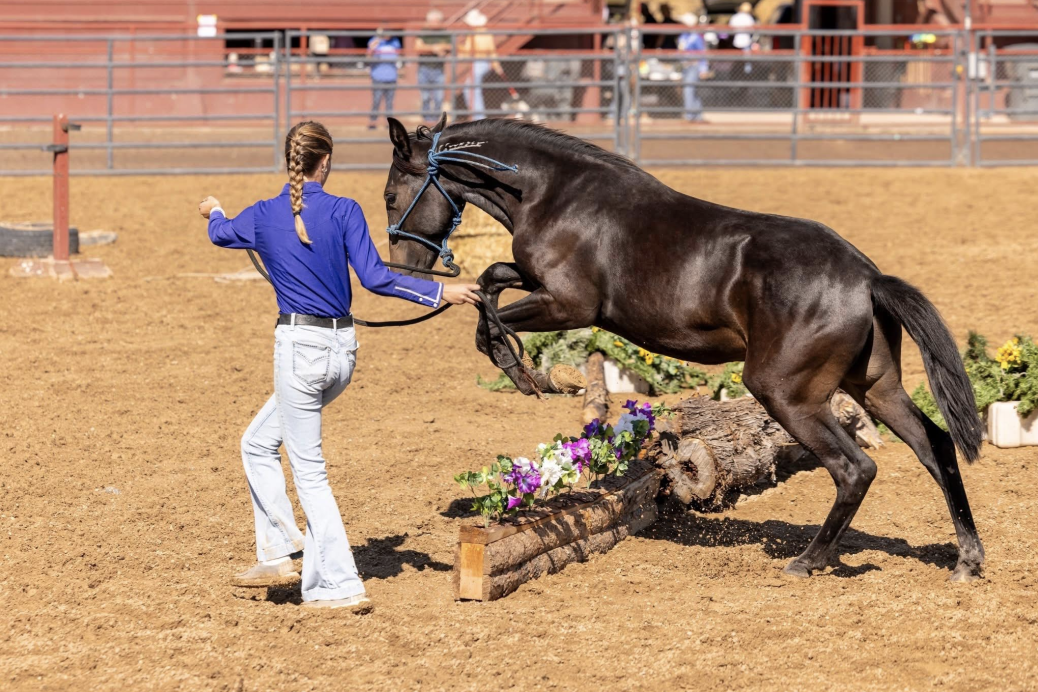 Free admission for Meeker locals to the 2025 Meeker Mustang Makeover ...