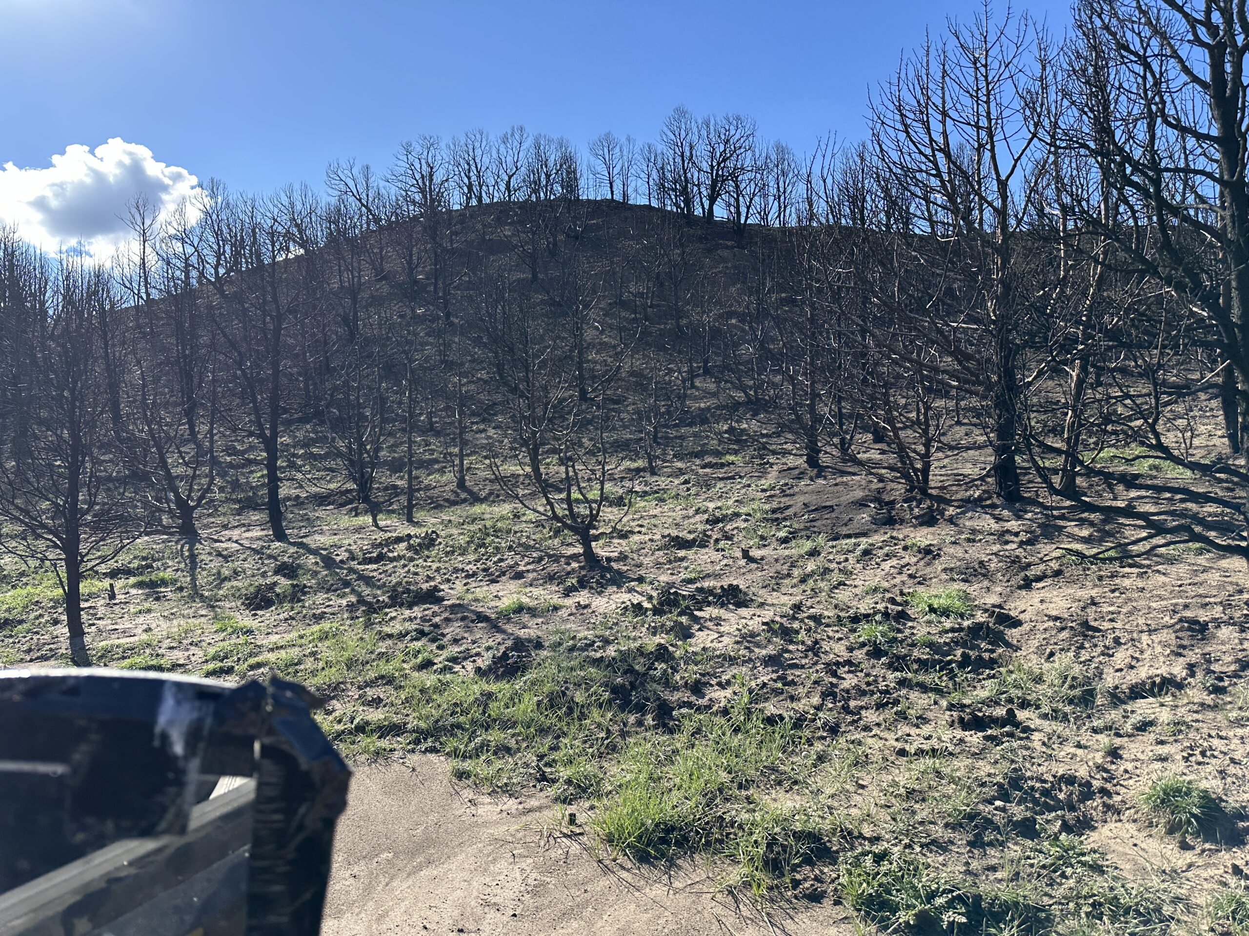 Looking at the land through the lens of fire and flood | The Herald ...