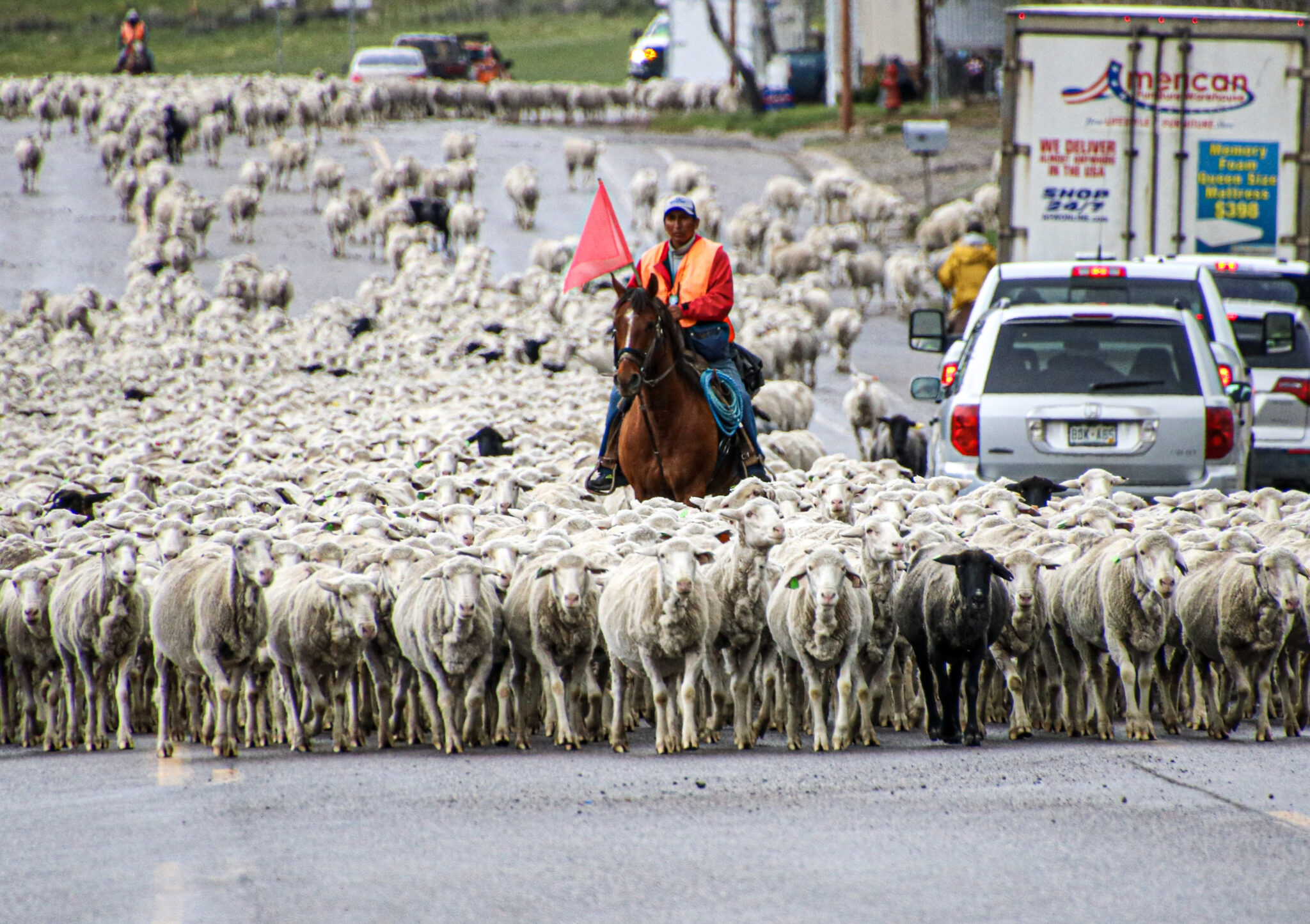 WET & WOOLLY TRAFFIC | The Herald Times | Serving Meeker, Rangely ...
