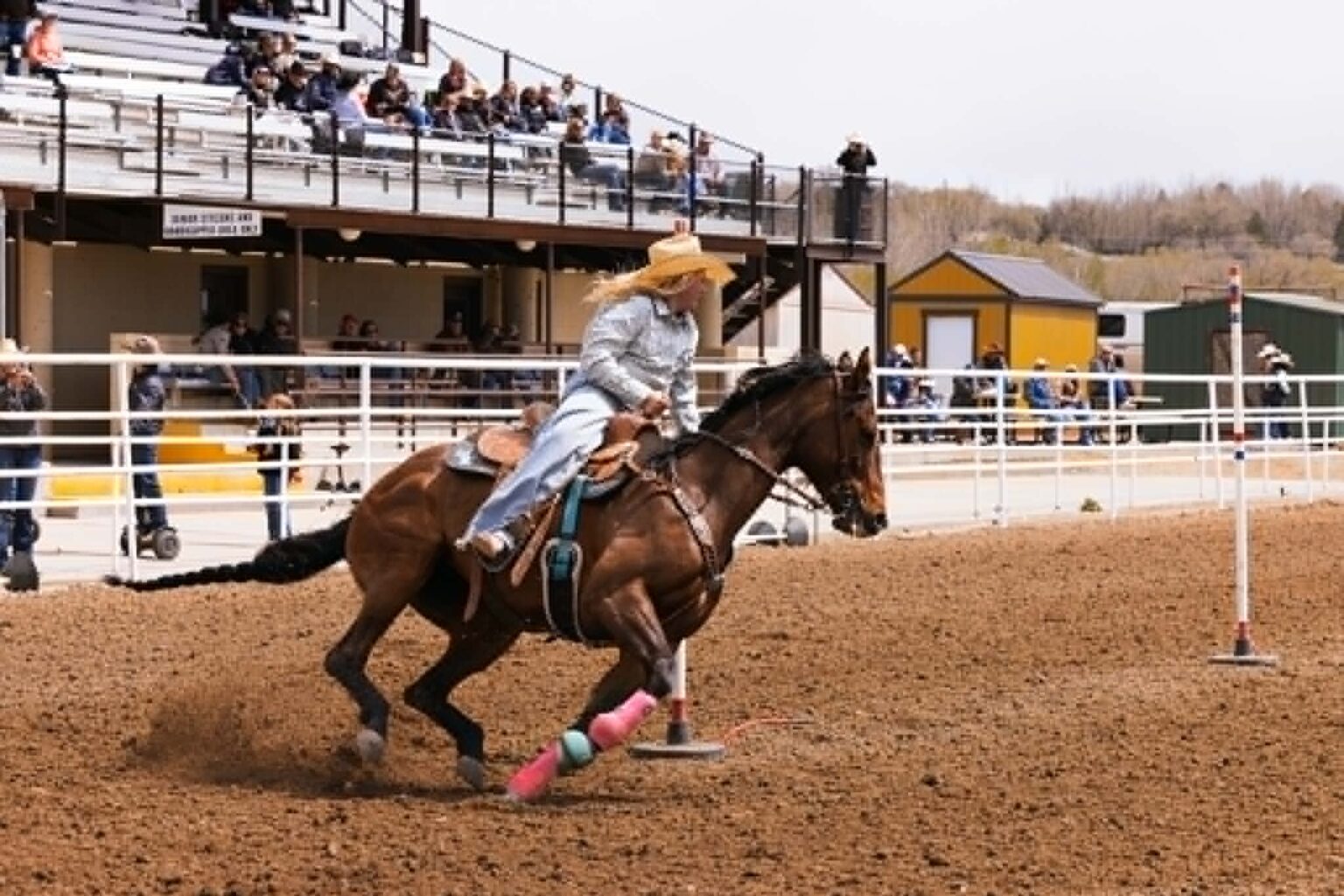 Growing up in the arena: Watson siblings thrive at state rodeo finals ...