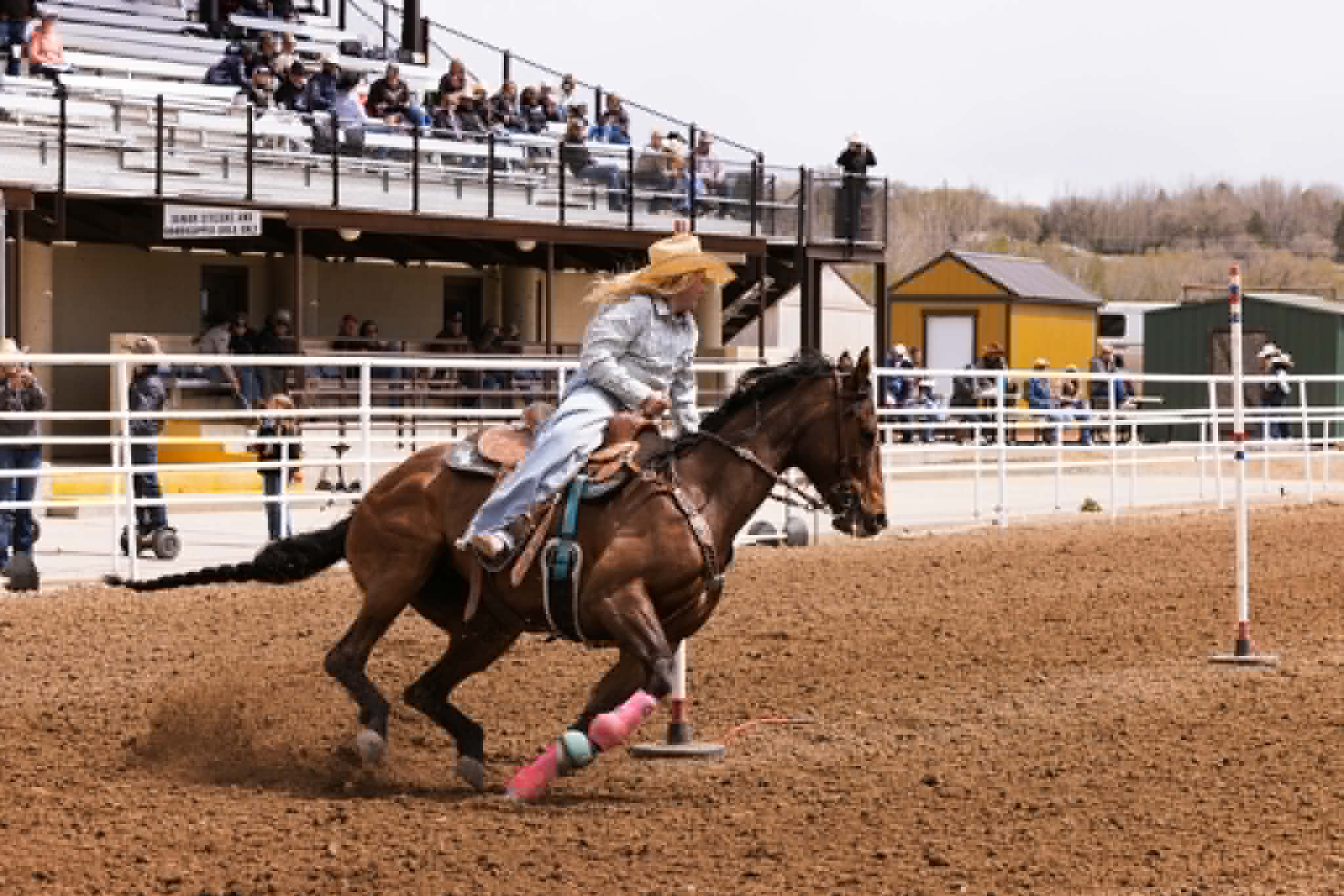 Growing up in the arena: Watson siblings thrive at state rodeo finals ...