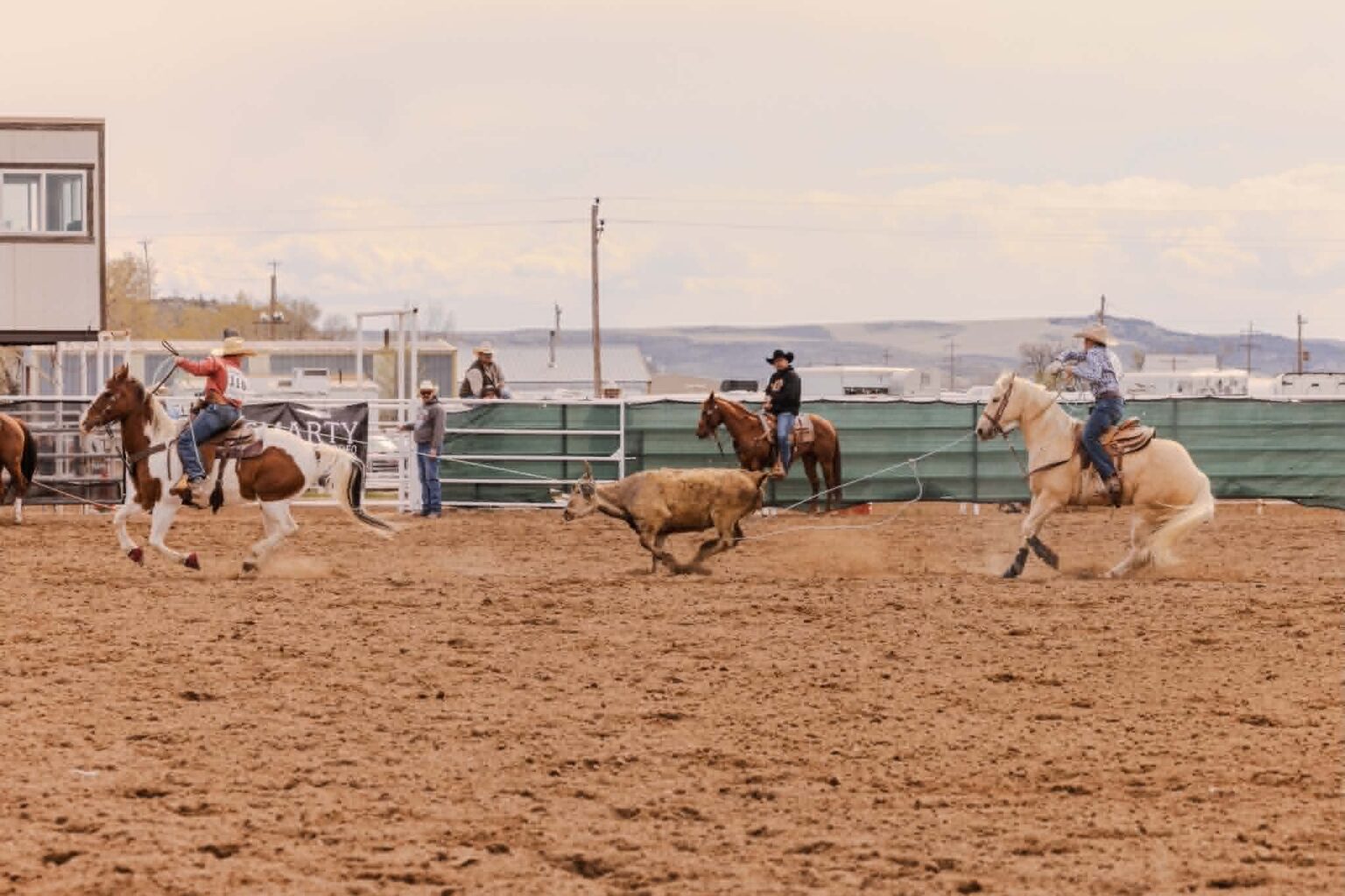 Growing up in the arena: Watson siblings thrive at state rodeo finals ...